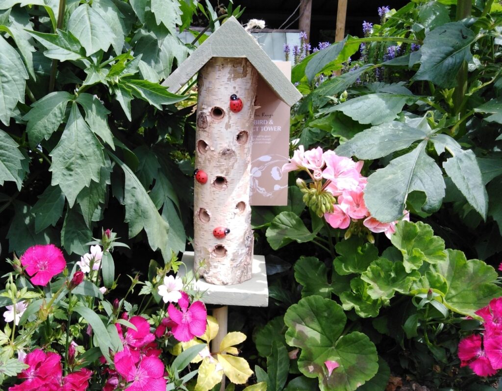 Ladybird Houses | Labybirds & Lacewings | Green Gardener