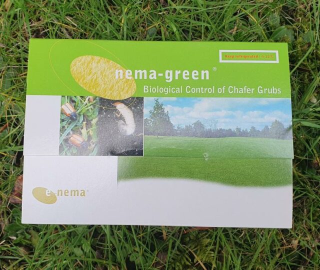 What's eating my lawn - treating Leatherjackets and Chafer Grubs with ...