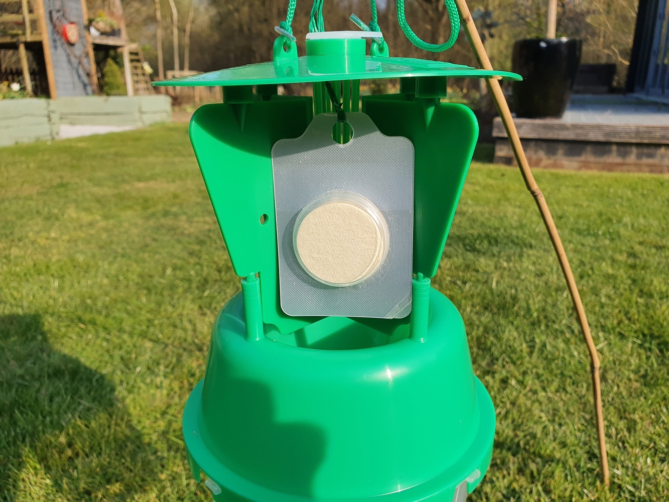 Nemasys Chafer Grub Killer Adult Chafer Trap Lawn Pest Pack Persistent ...