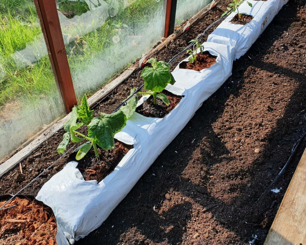 Coir Grow Bags x2 | Propagation Pots & Planters | Green Gardener