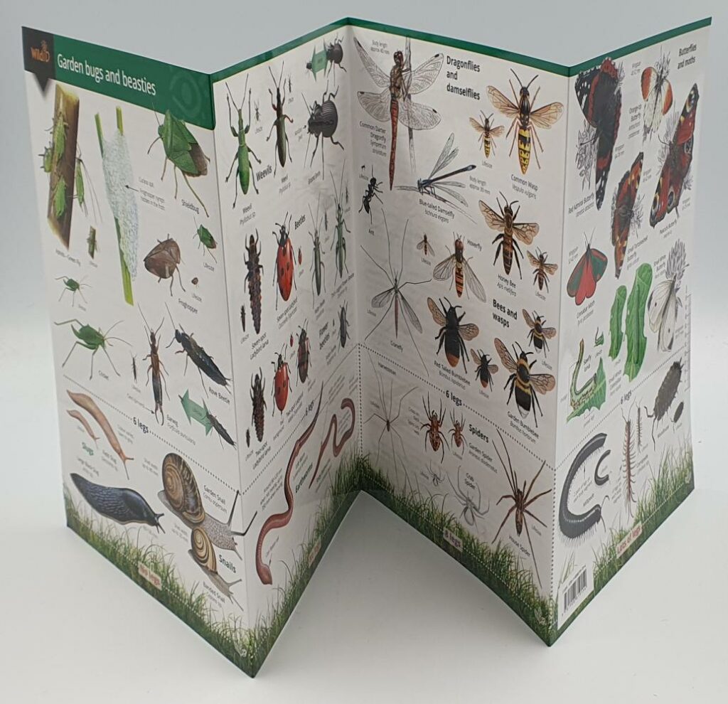 Garden Bugs and Beasties Field Guide - Green Gardener