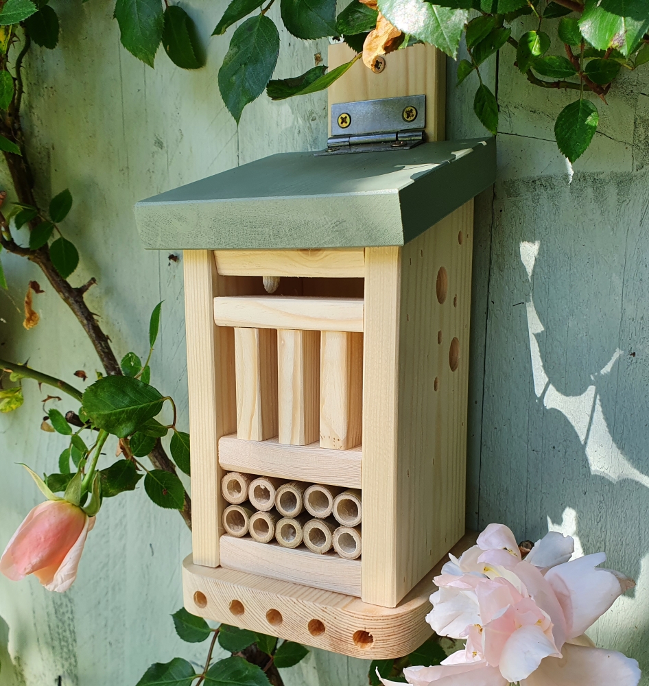 Where do Ladybirds Live? - Ladybirds - Green Gardener