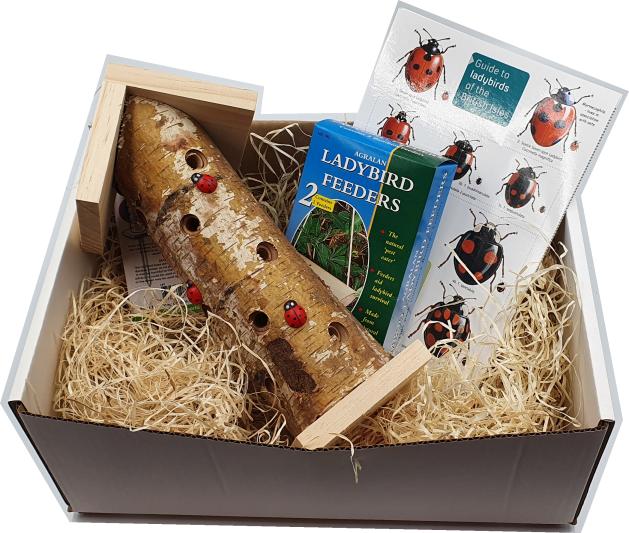Ladybird Giftbox - Green Gardener
