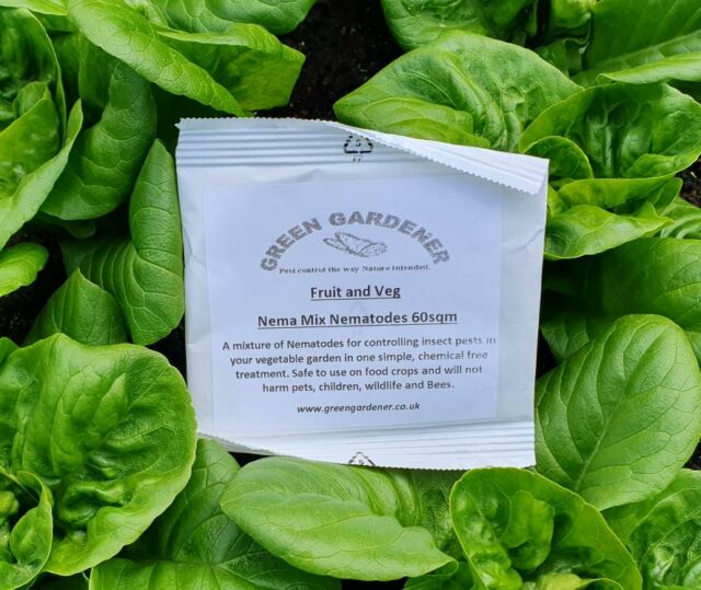 Fruit & Veg - GG Nematode Mix | Green Gardener