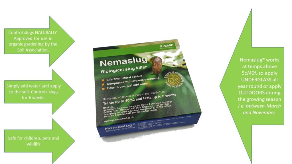 Slug Nematodes Nemaslug 2.0 40sqm | Slug Killer