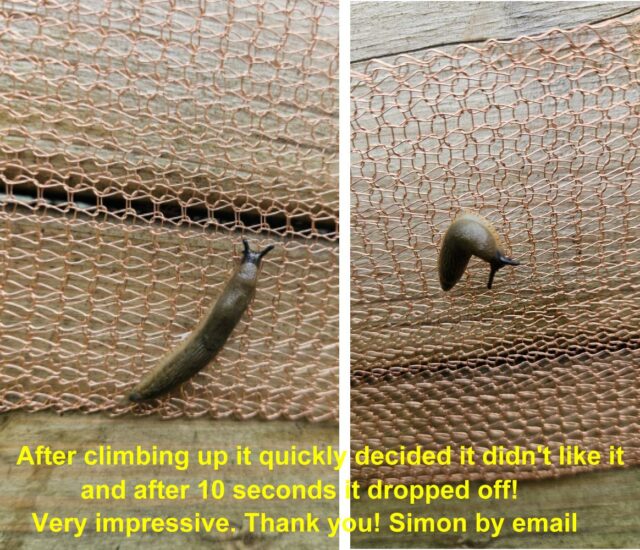 Flexible Copper Slug Tape to Protect Pots from Slugs