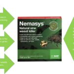 Nemasys Vine Weevil Killer The Natural, Organic Vine Weevil Control