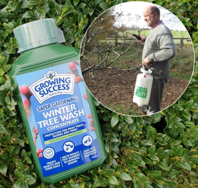 Winter Tree Wash - Green Gardener