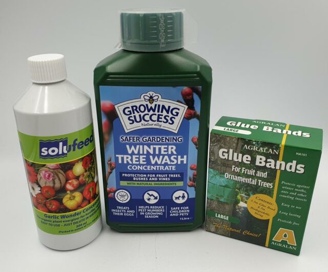 Winter Tree Wash - Green Gardener