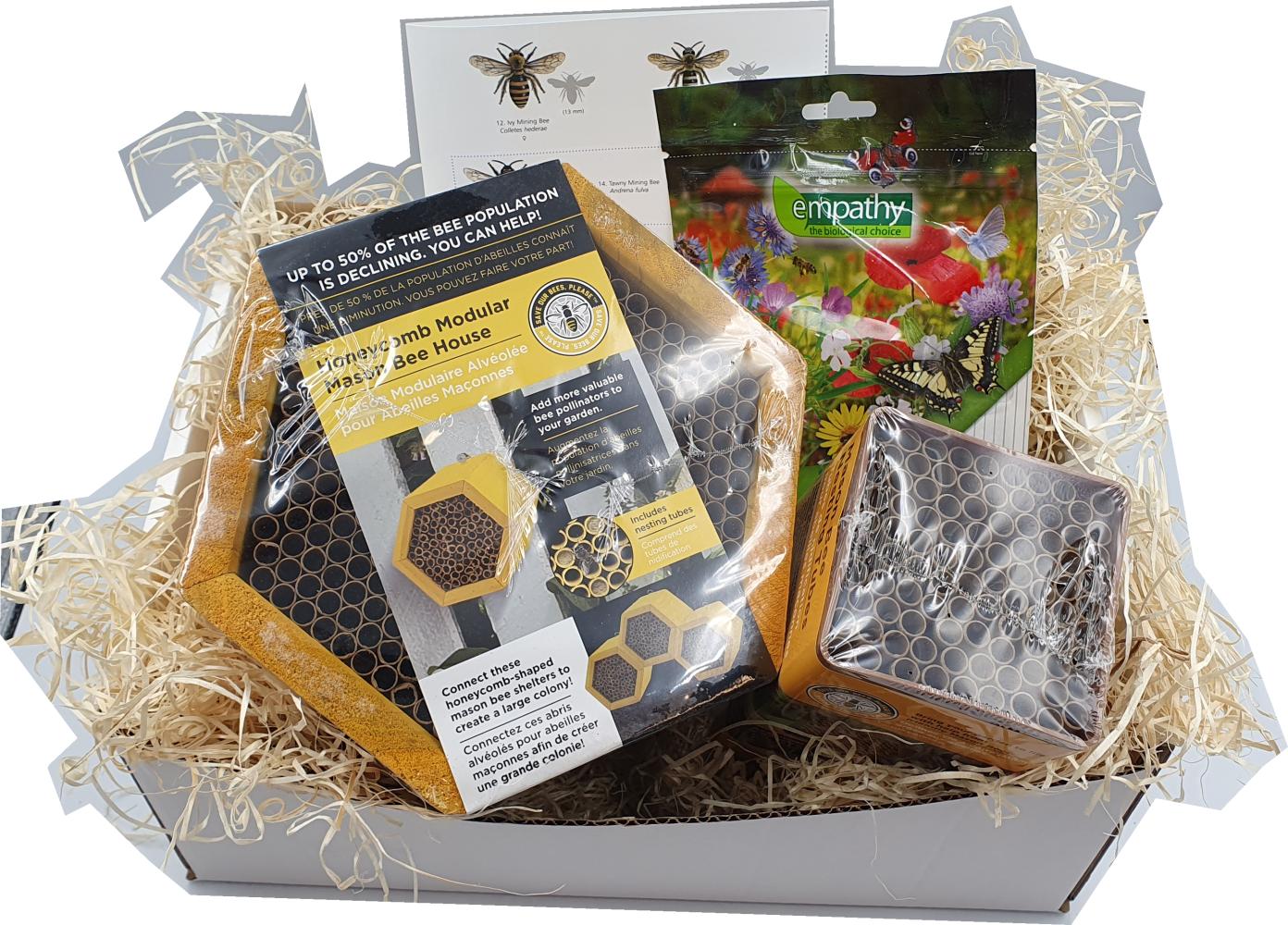 Modular Bee Giftbox - Green Gardener