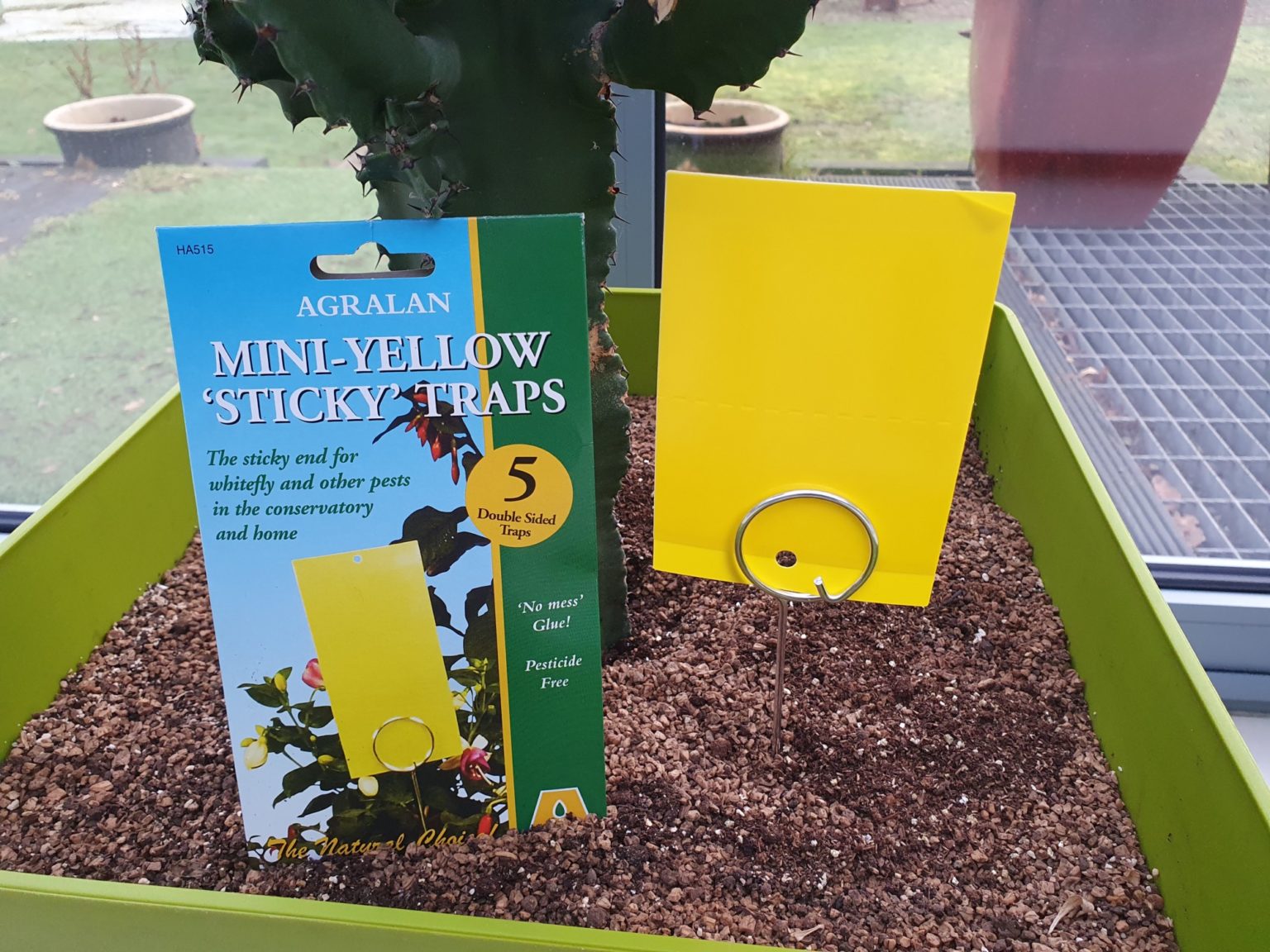Sciarid Fly Nematodes | Green Gardener