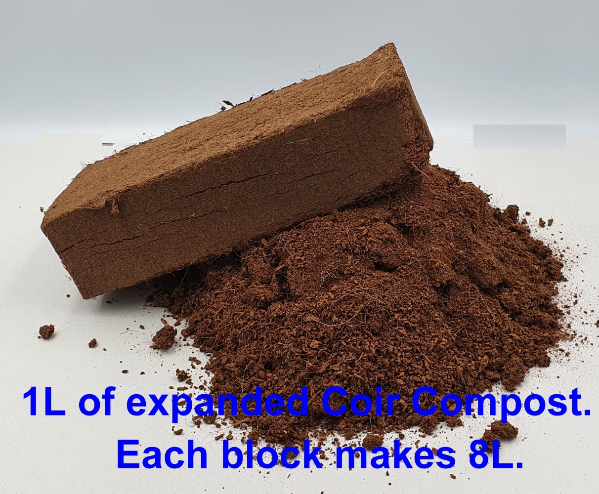 Coir Compost Block - 2x8L - Green Gardener