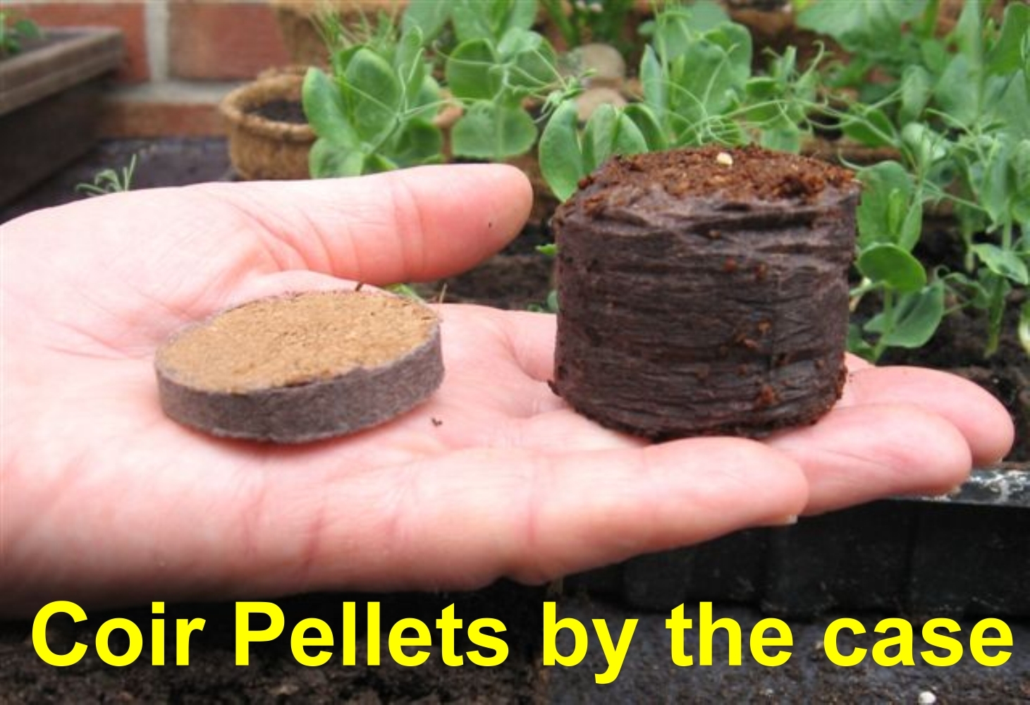1500 Coir Pellets | Propagation Pots & Planters | Green Gardener