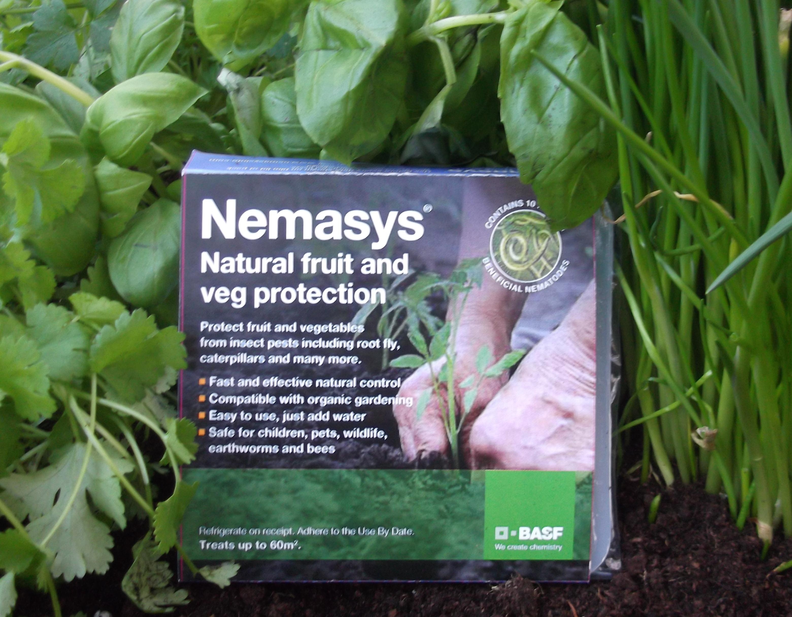 Organic Ways to Control Garden Pests UK | Natural Pest Control Guide