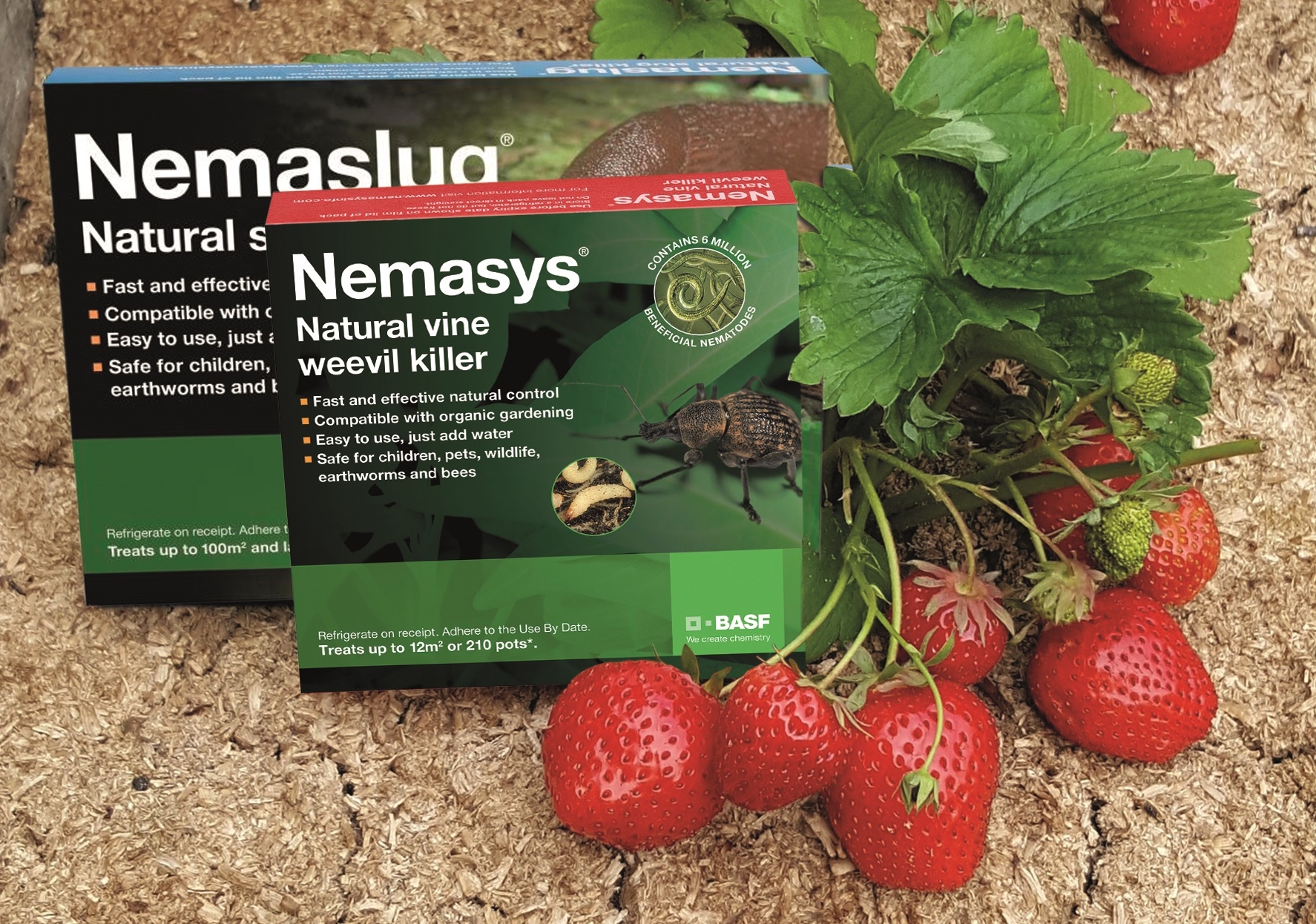 Nematodes and Natural, Biological and Organic Pest Control