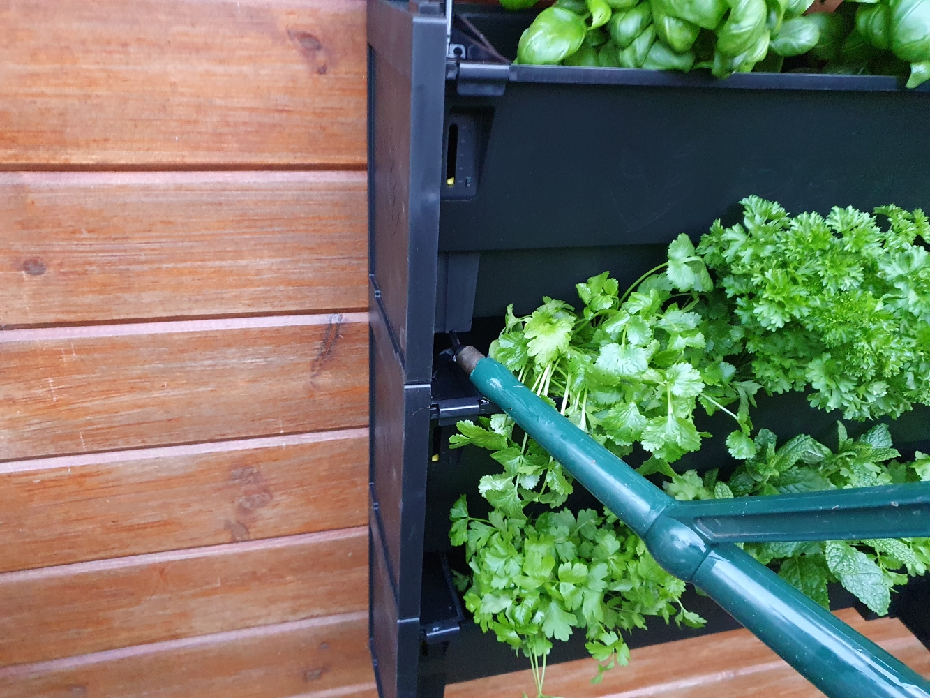 Vertical Gardening With Troughs