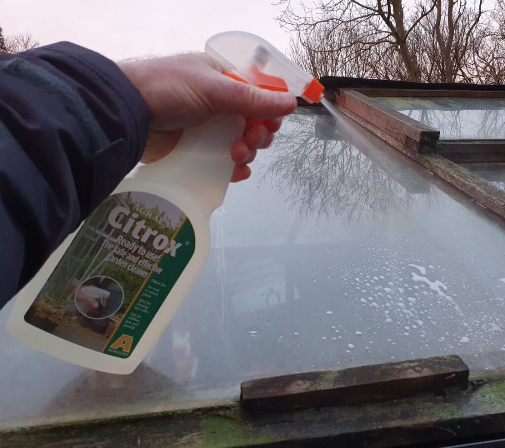 Citrox Disinfectant 750ml Spray Bottle | Green Gardener