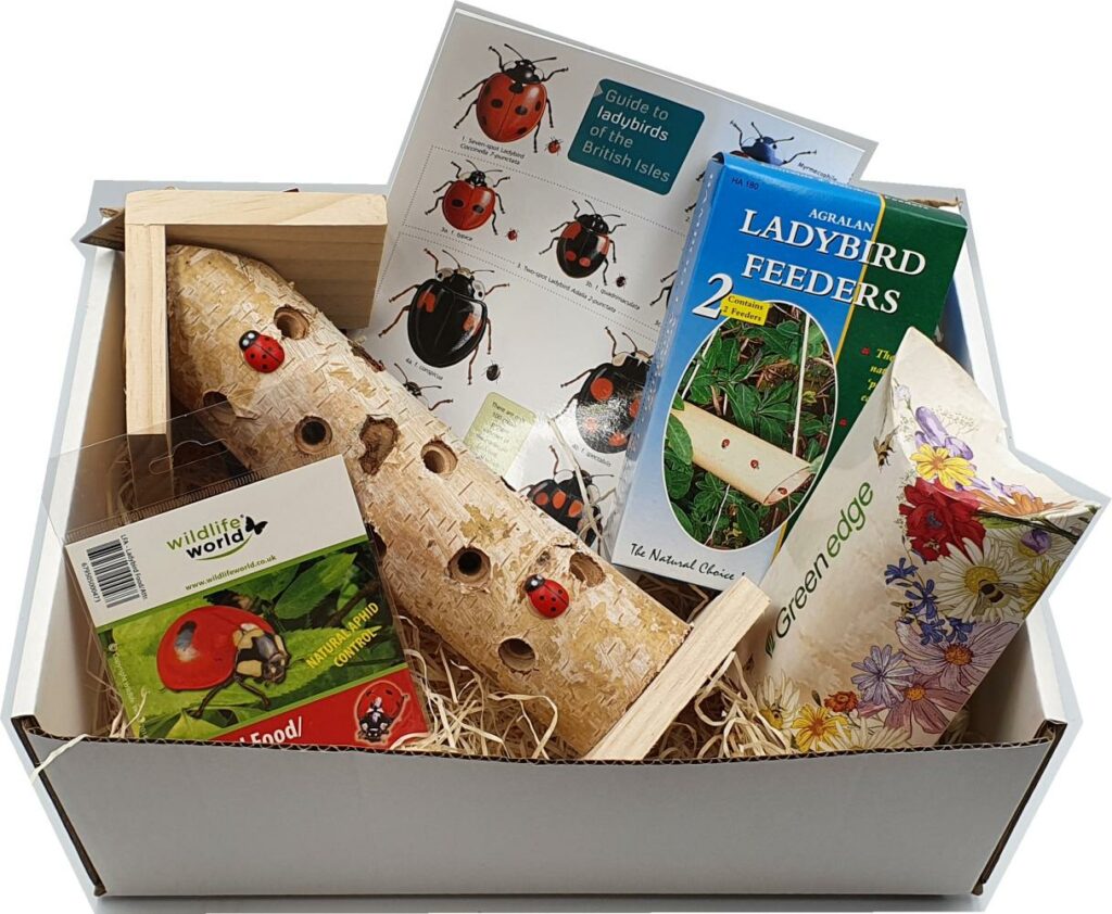 Deluxe Ladybird Giftbox - Green Gardener