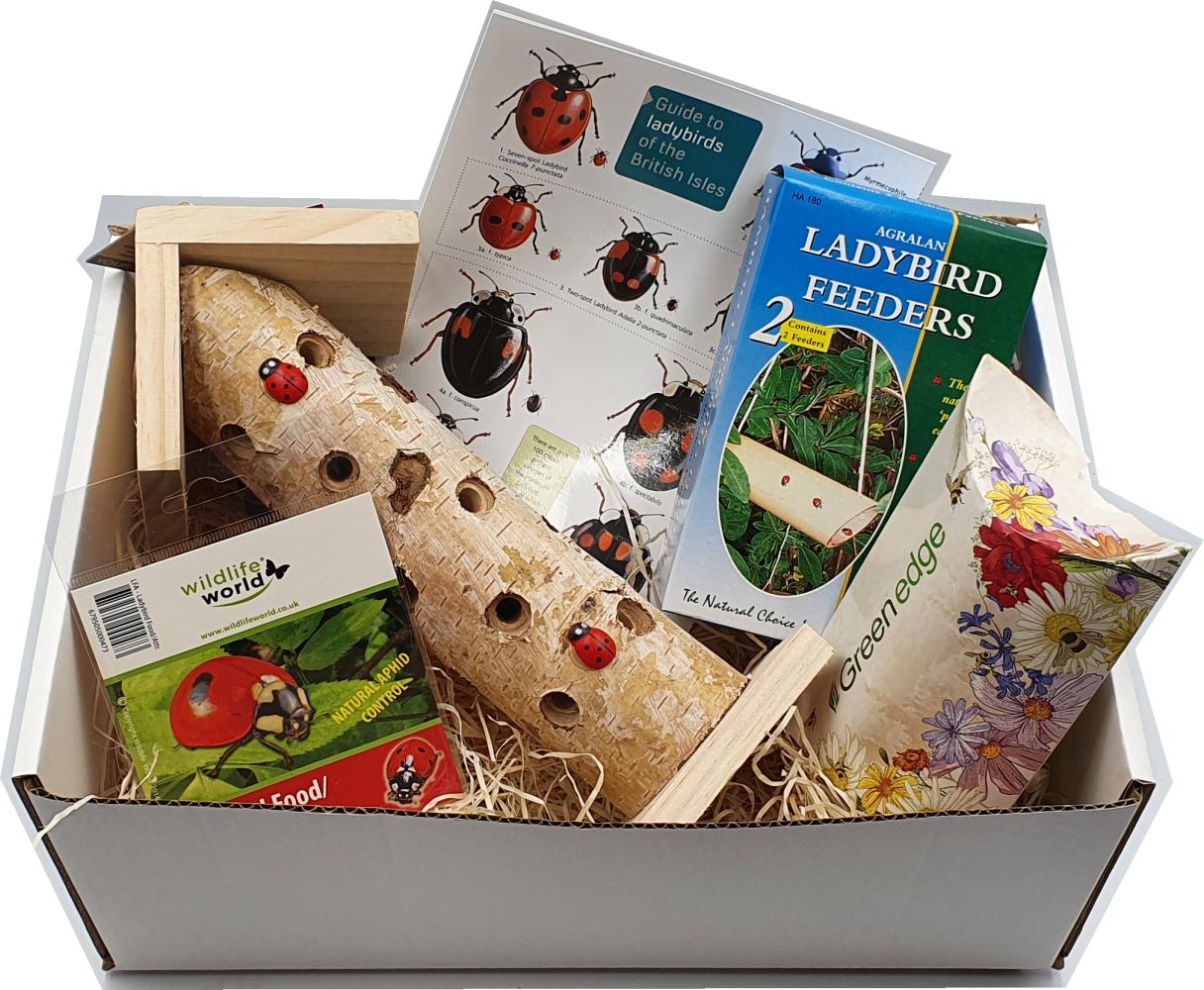 Deluxe Ladybird Giftbox - Green Gardener