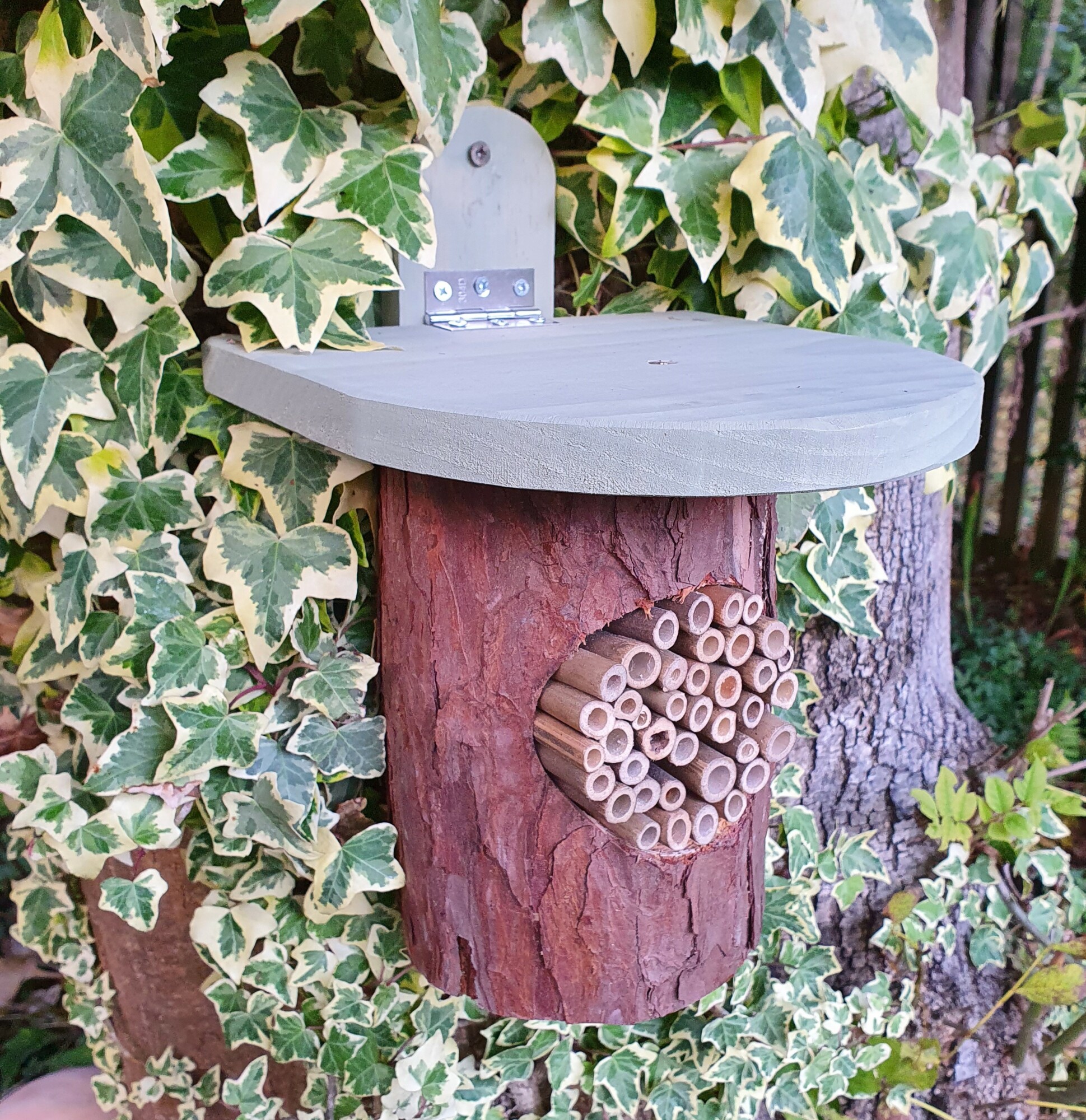 Solitary Bee Log - Green Gardener