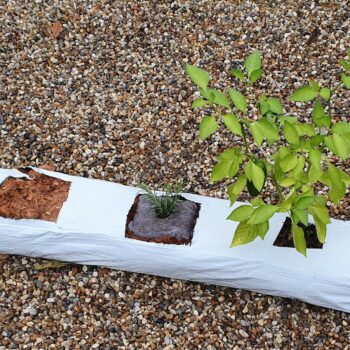 Coir Grow Bags | Propagation Pots & Planters | Green Gardener