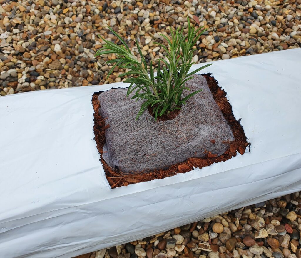 Coir Grow Bags x2 | Propagation Pots & Planters | Green Gardener
