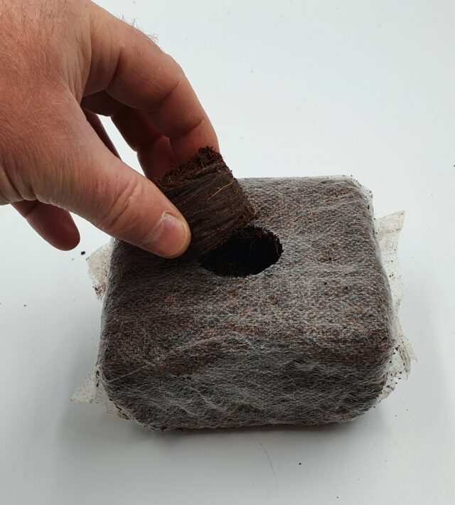Coir Pellets | Propagation Pots & Planters | Green Gardener
