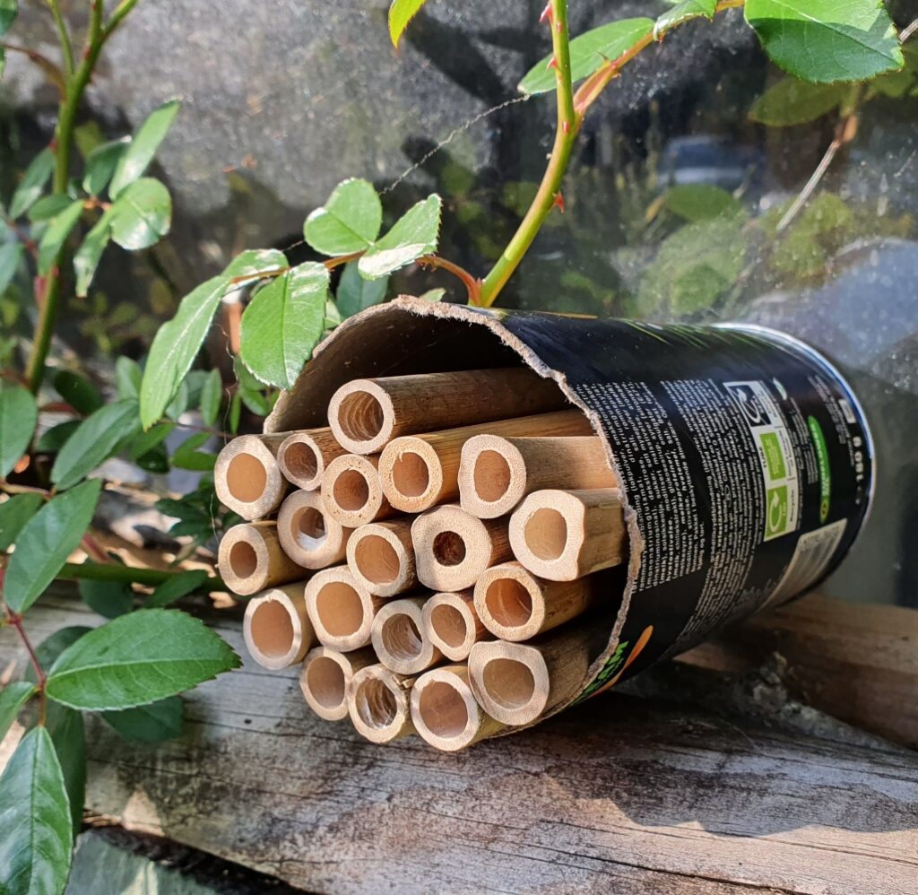 Cane Solitary Bee Nesting Tubes - Green Gardener