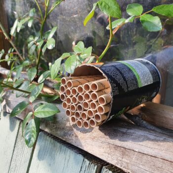 Solitary Bee Nesting Tubes x30 - Green Gardener
