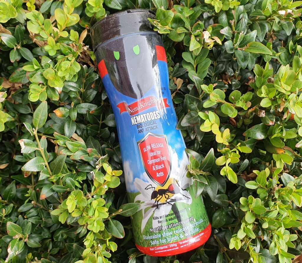 Slow Release Long Life Ant Nematodes From Green Gardener