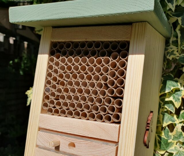 Giant Beneficial Insect Tower | Green Gardener