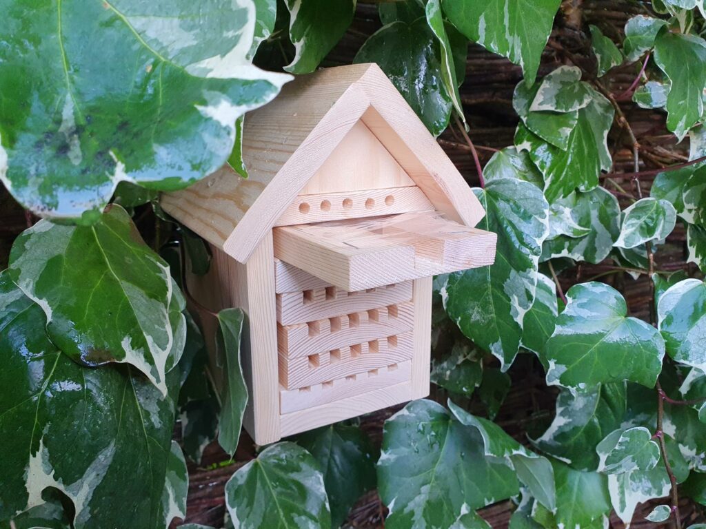 Solitary Bee Cocoons With Bee House | Green Gardener