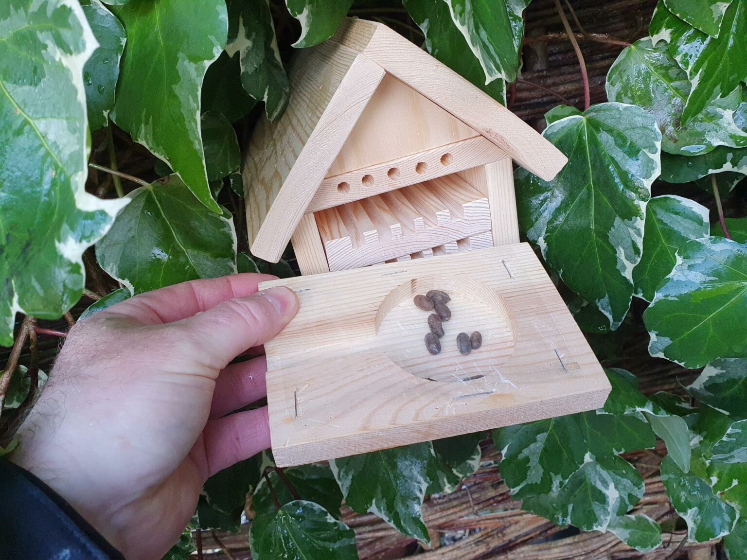 Solitary Bee Cocoons With Bee House | Green Gardener