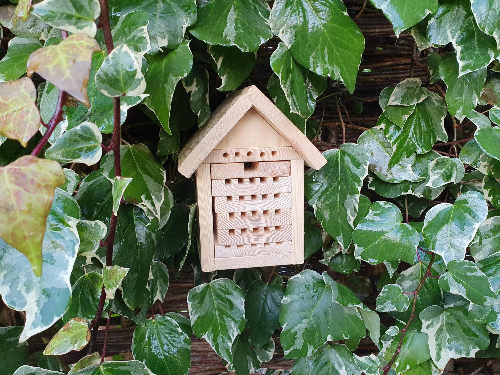 Solitary Bee Cocoons With Bee House | Green Gardener
