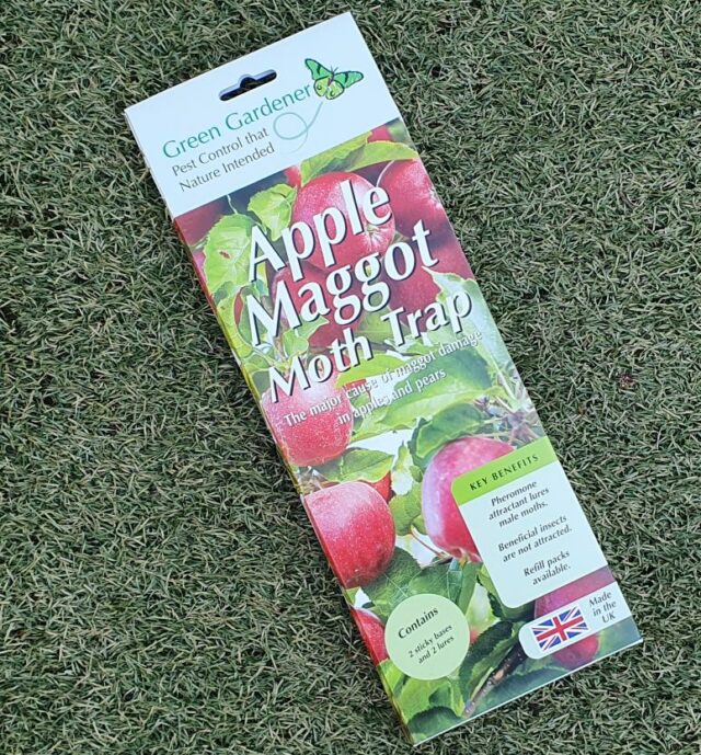 Codling Moth Trap - Green Gardener