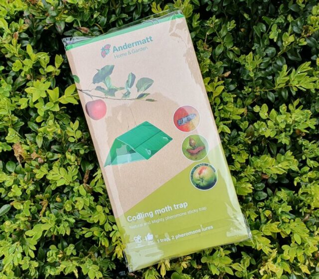 Codling Moth Trap - Green Gardener
