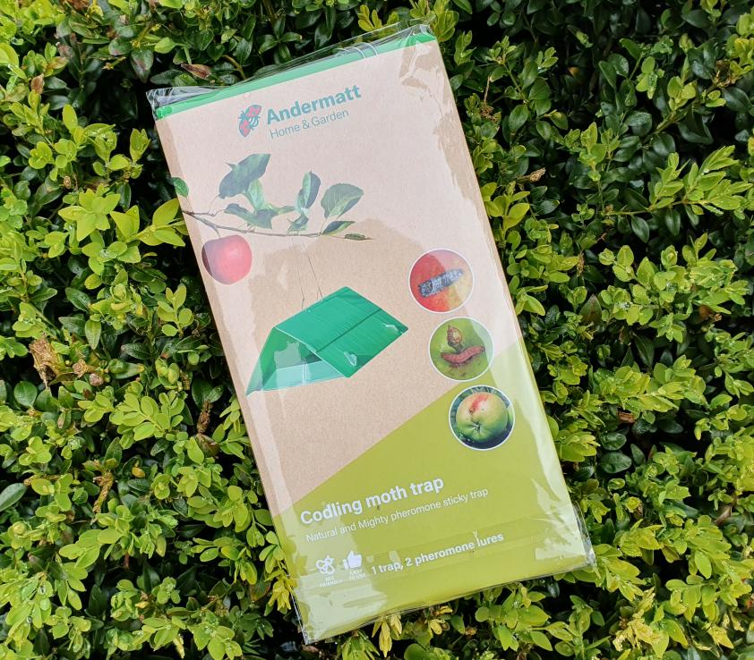 Codling Moth Trap - Green Gardener