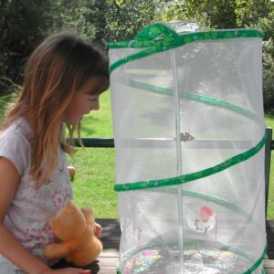 Classroom Butterfly Kit - Green Gardener