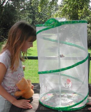 Classroom Butterfly Kit - Green Gardener