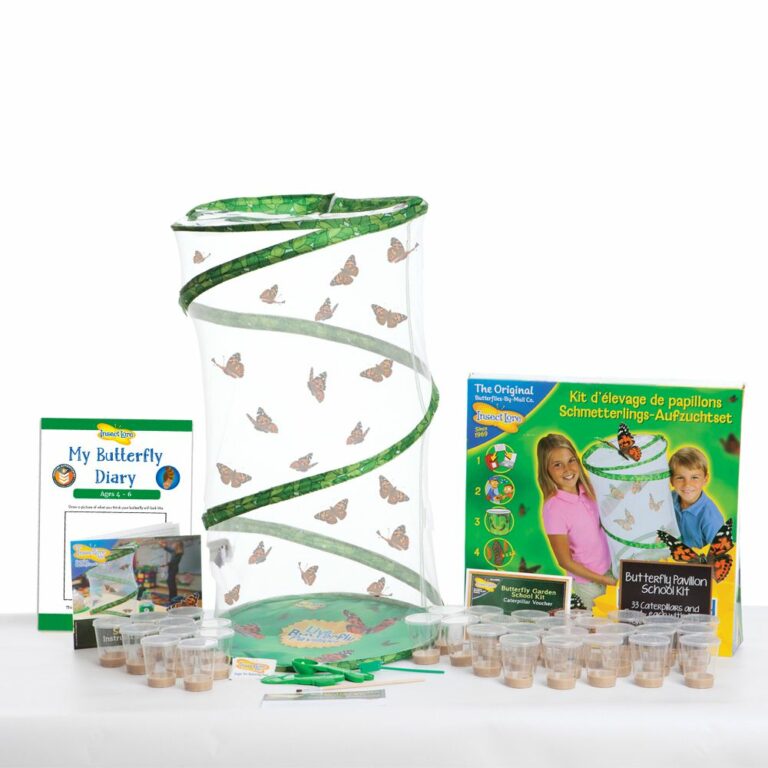 Classroom Butterfly Kit - Green Gardener
