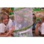 Classroom Butterfly Kit - Green Gardener