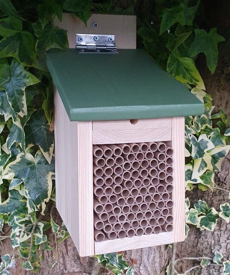 Solitary Bee Cocoons With Bee House | Green Gardener