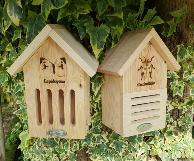 Butterfly Barn with Food Feeder Tray | Green Gardener