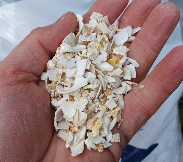 Crushed Shell Barrier - Green Gardener