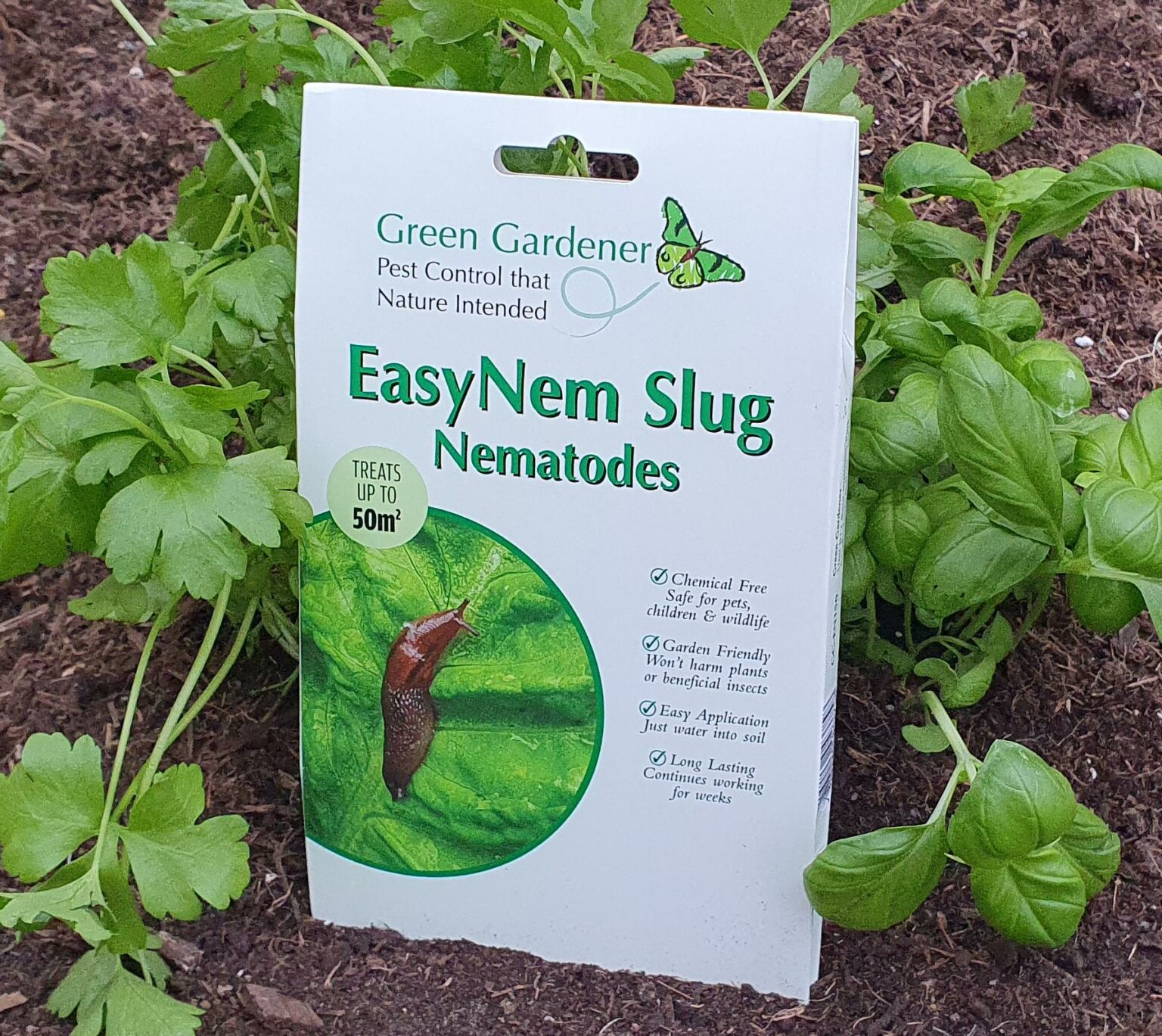 How to stop slugs using slug nematodes - Green Gardener
