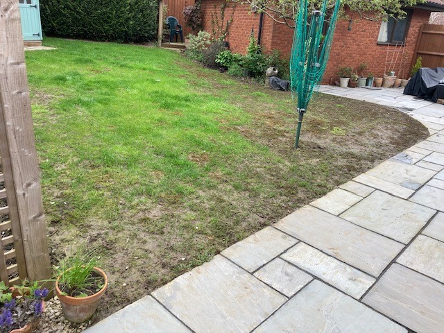 Customer Advice - Treating Leatherjackets. - Green Gardener