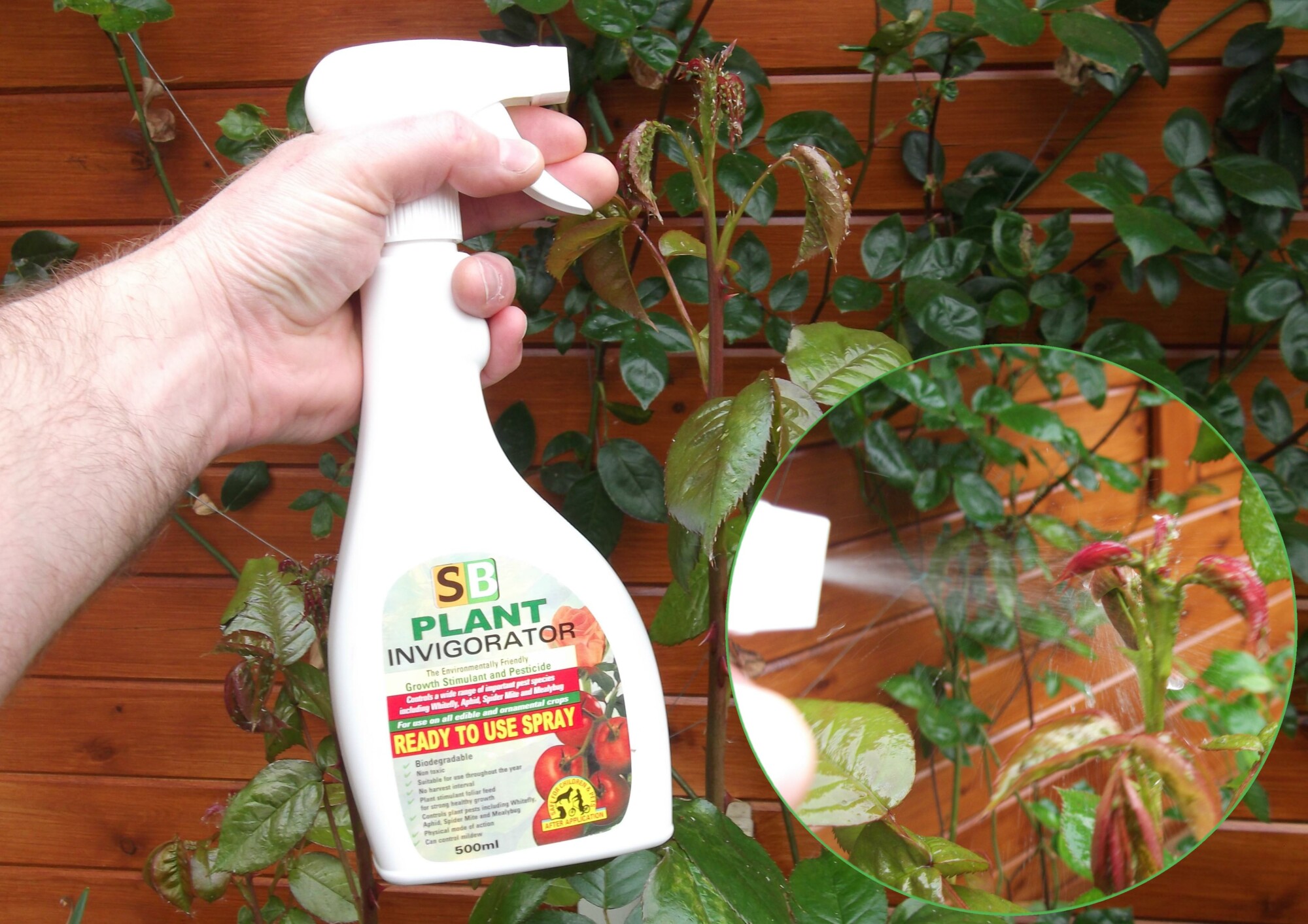 Organic Ways to Control Garden Pests UK | Natural Pest Control Guide