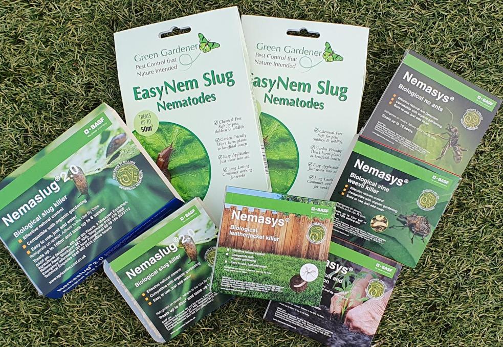 Organic Ways to Control Garden Pests UK | Natural Pest Control Guide